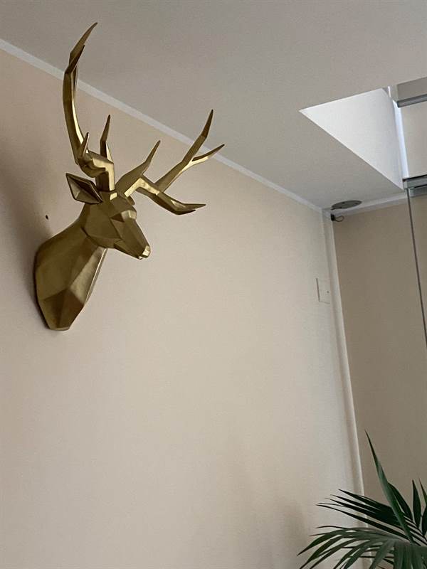 Testa di Cervo Scultura da parete, color Gold - Pesaro