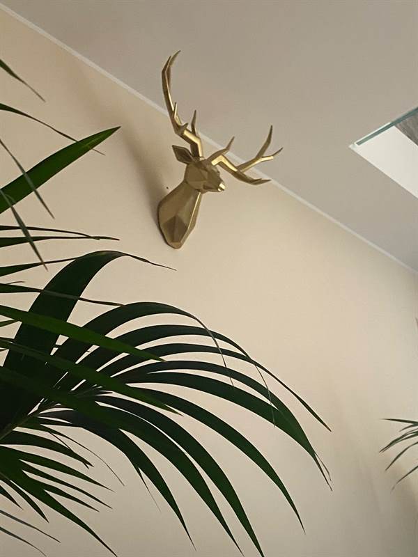 Testa di Cervo Scultura da parete, color Gold - Pesaro