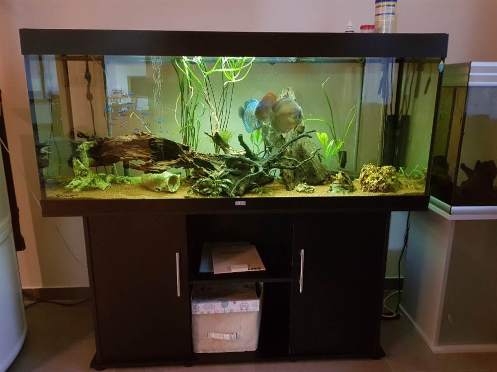 Acquario con mobile originale - Pesci tropicali a Cremona